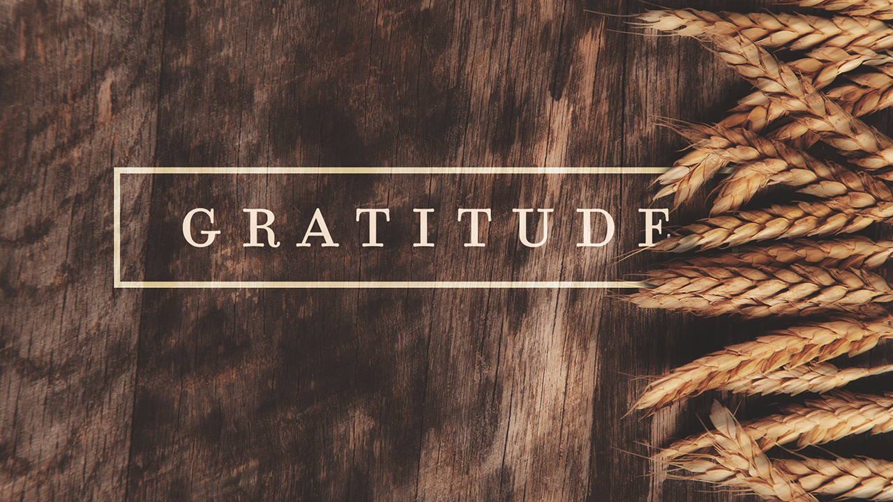 gratitude.jpg