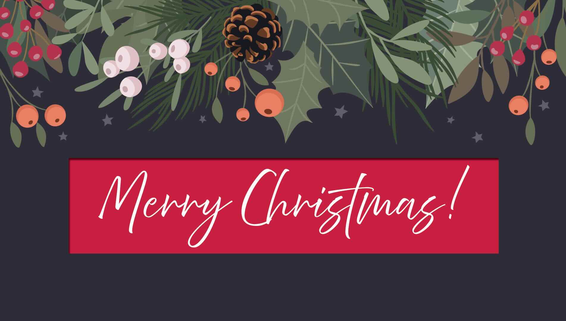 merry christmas small.jpeg