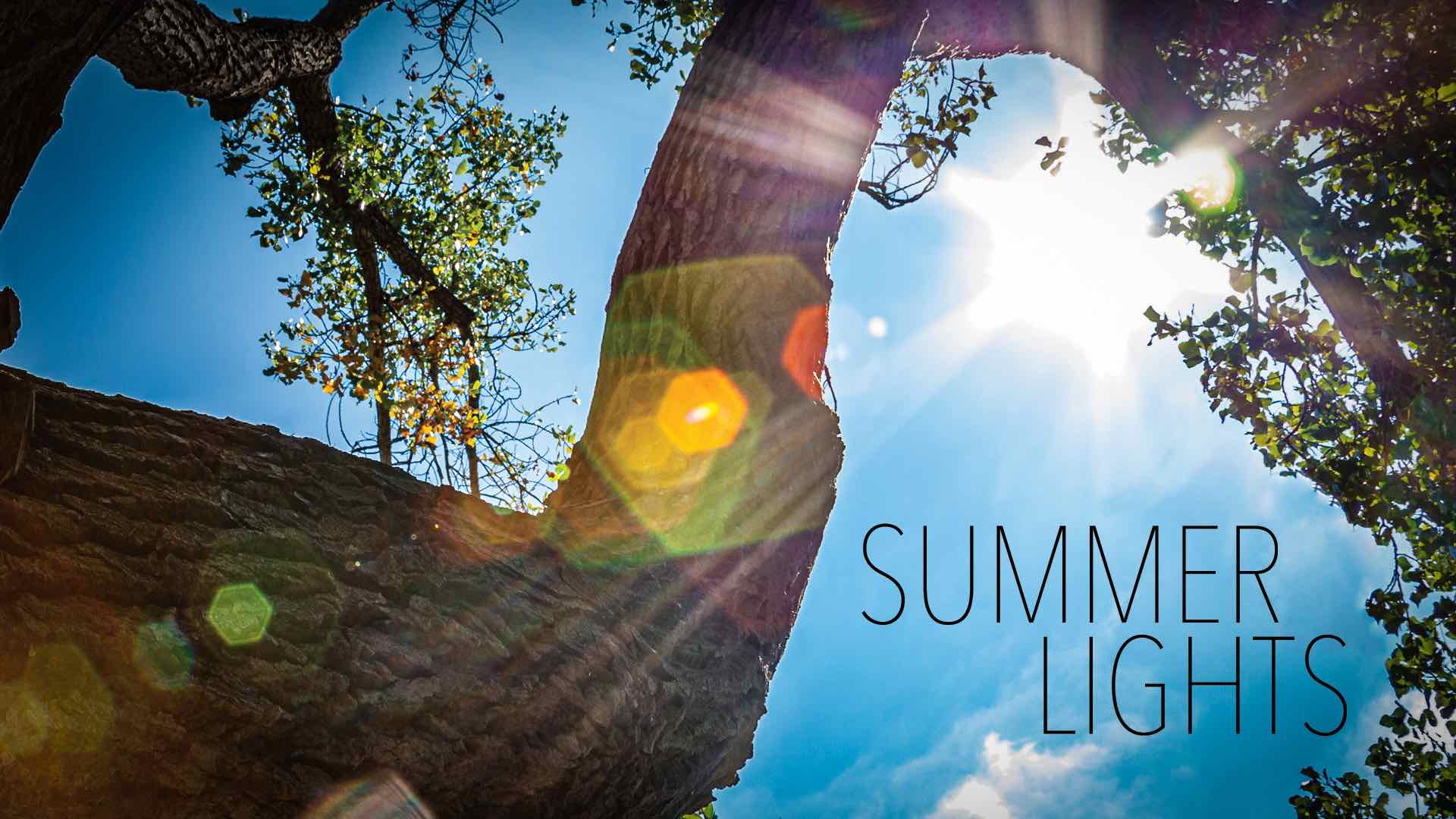 Summer Lights_Web Home.jpg